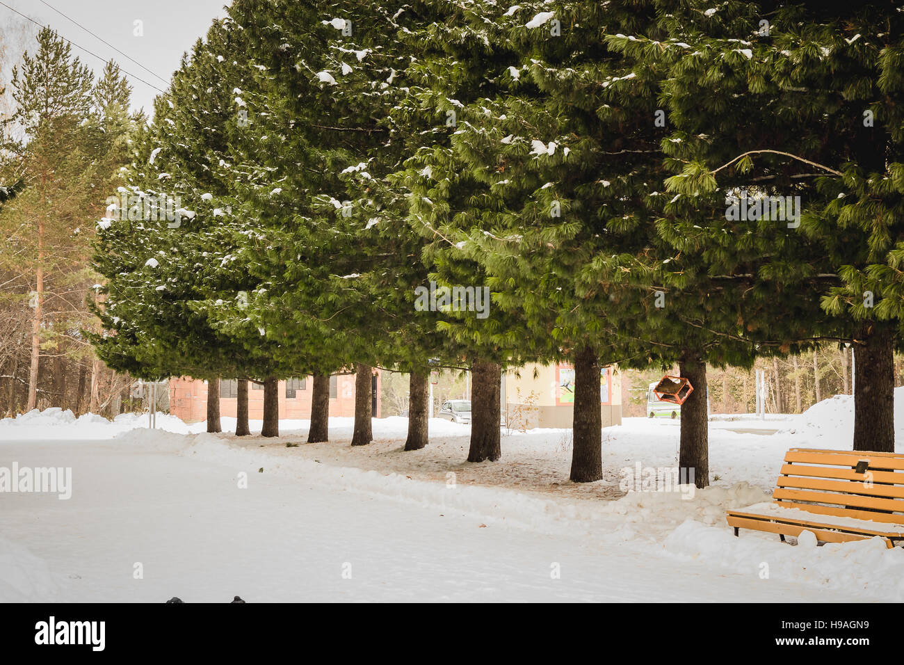 Beautiful winter landscape with snow covered trees Stock Photo - Alamy