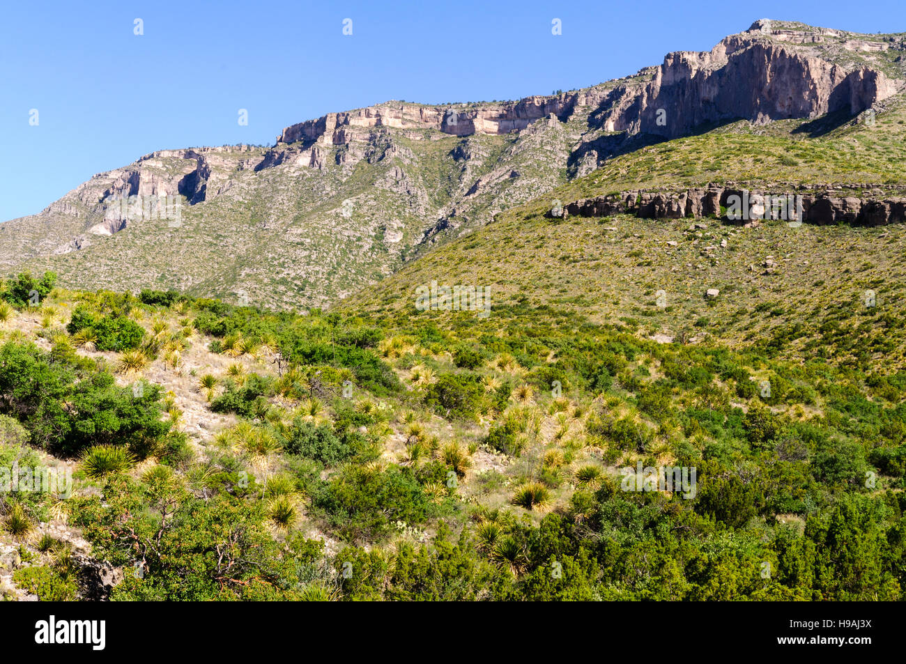 Guadalupe Mountains National Park Stock Photo - Alamy