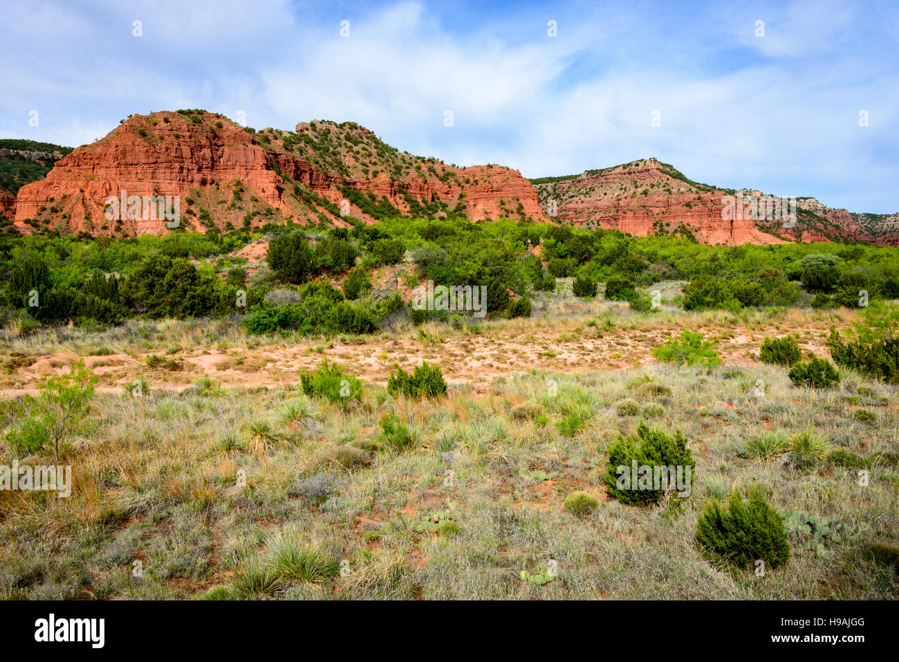 Caprock Canyons State Park and Trailway Stock Photo - Alamy
