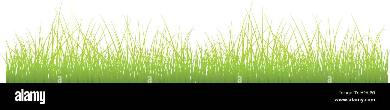 Panorama lawn grass Stock Vector Images - Alamy