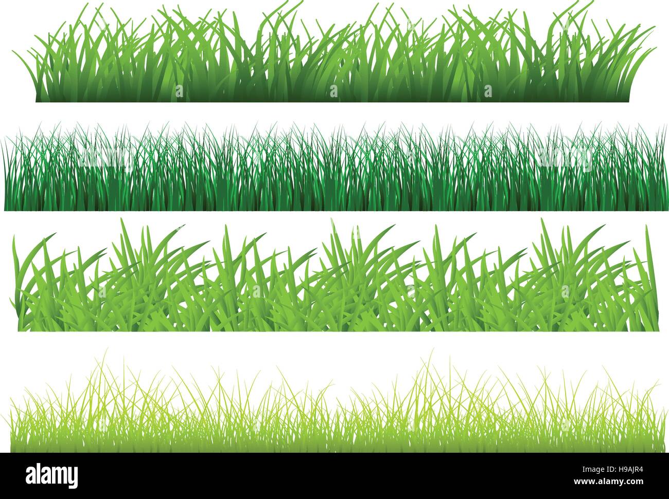Grass vector set Stock Vector Image & Art - Alamy