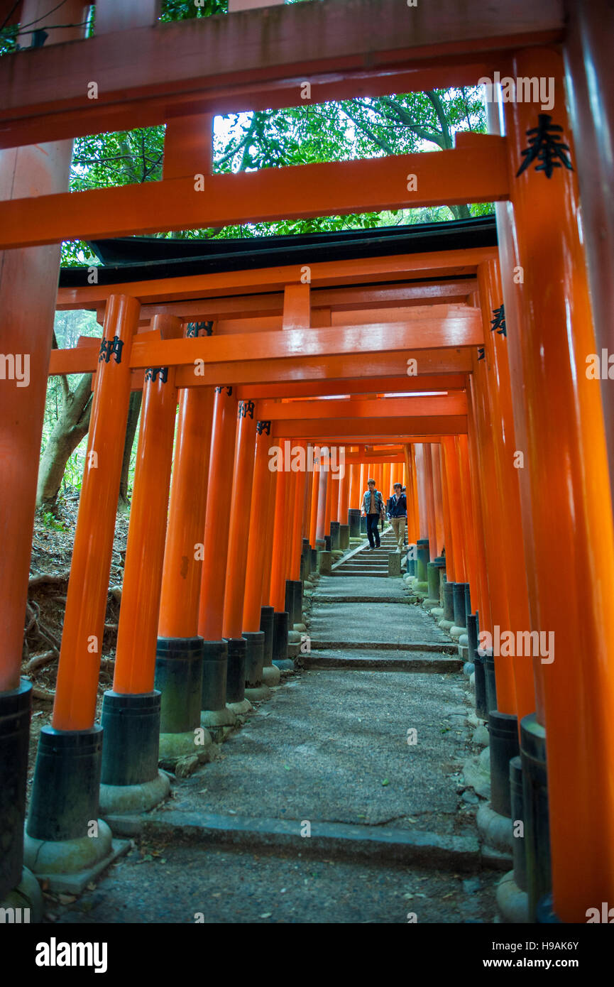Torii (gates) at Fushimi Inari Taisha, the head shrine of Inari, the ...