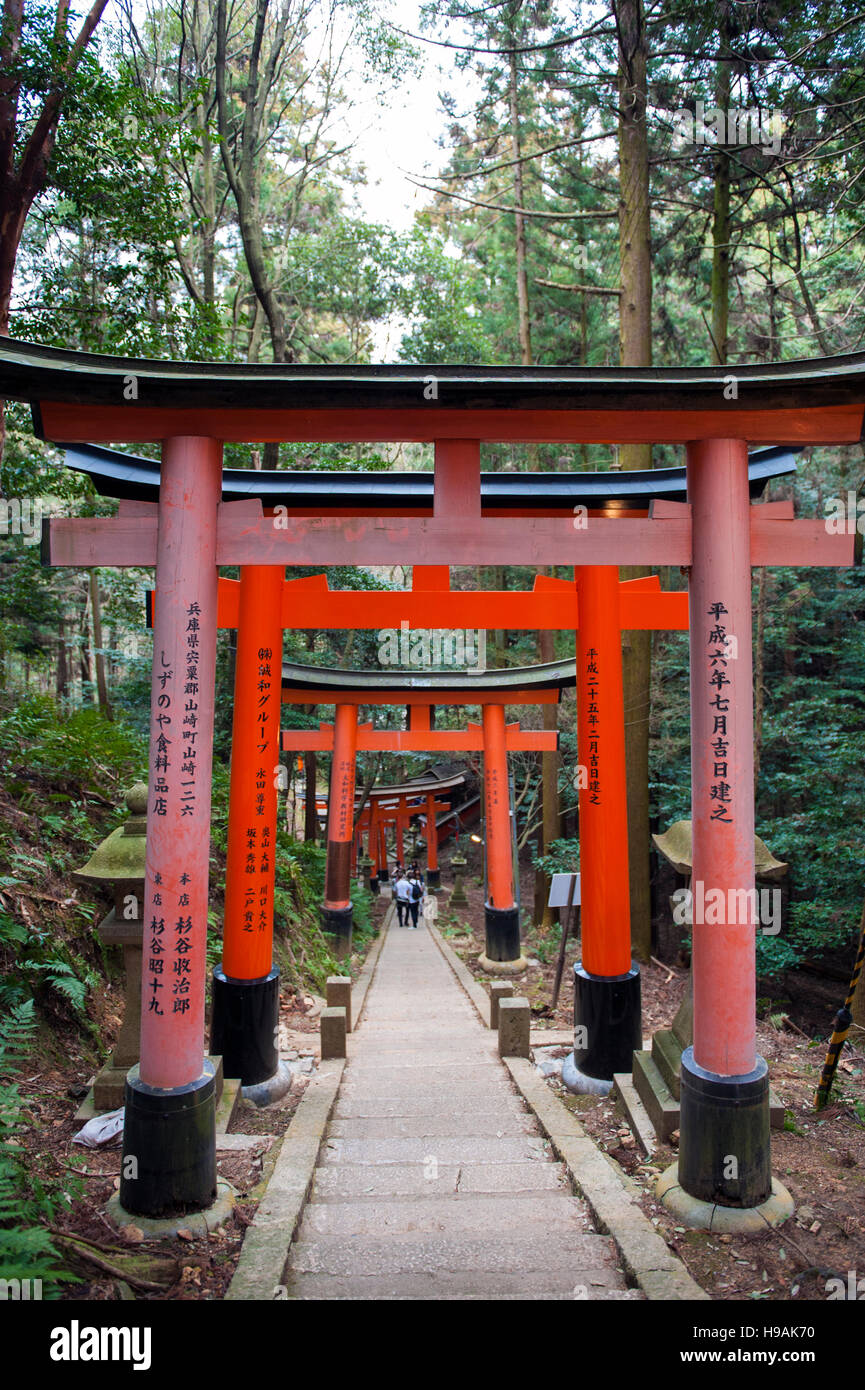 Torii (gates) at Fushimi Inari Taisha, the head shrine of Inari, the ...