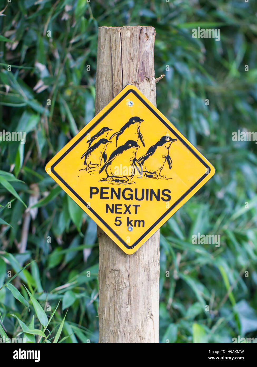 Road sign and penguin warning sign hi-res stock photography and images ...