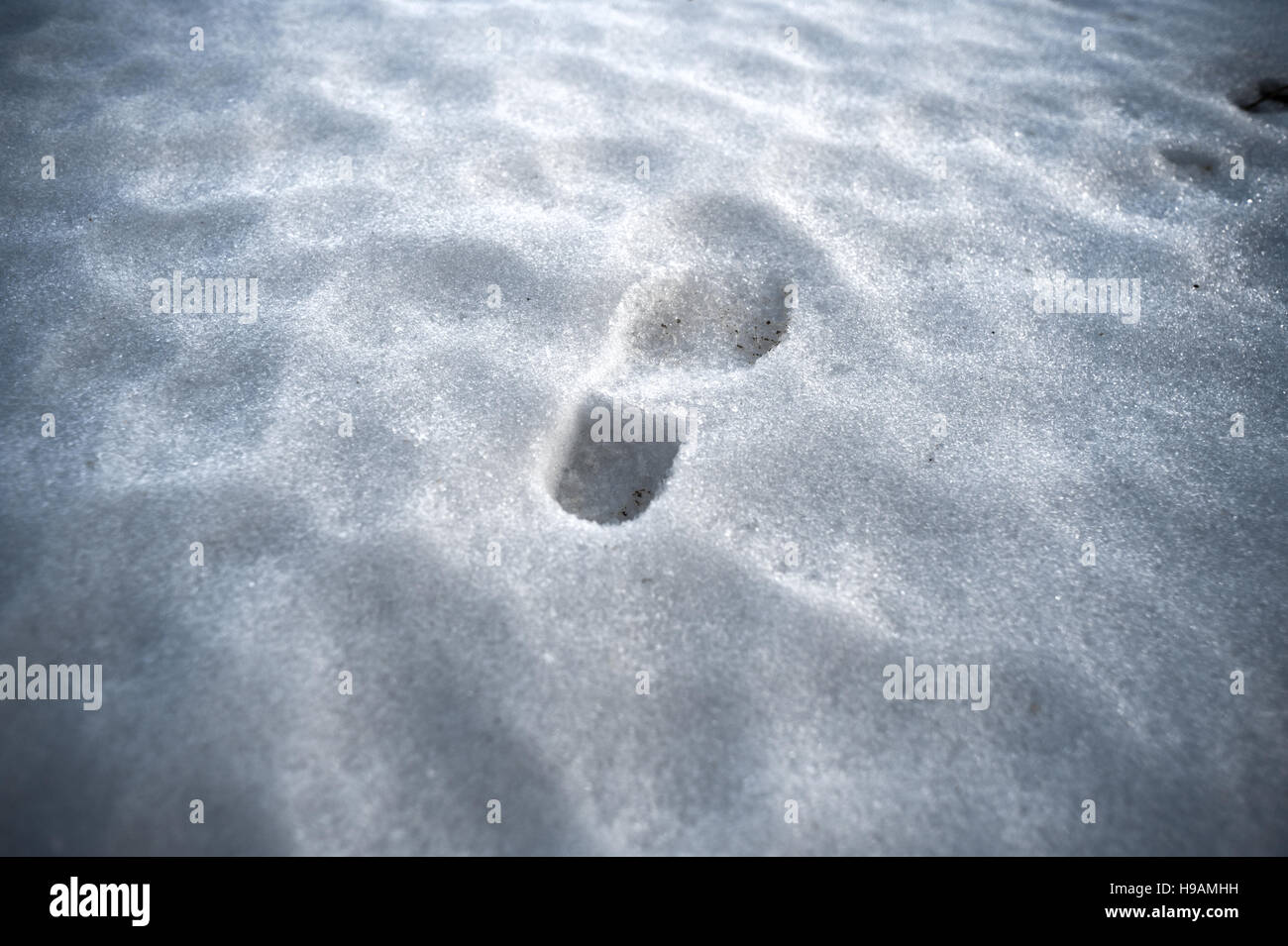 Spring background - meltinh and cracking ice Stock Photo - Alamy