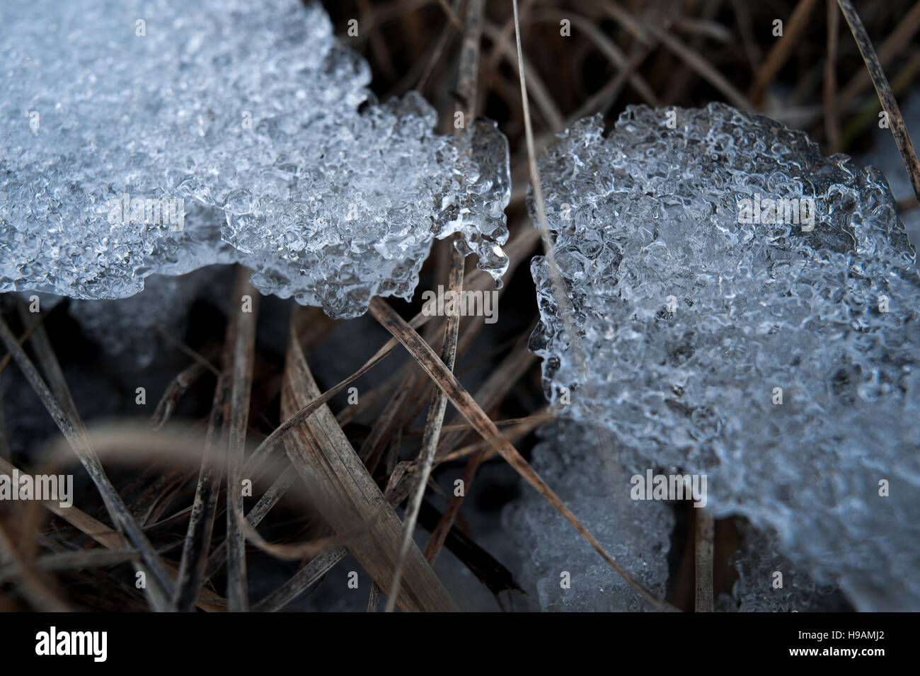 Spring background - meltinh and cracking ice Stock Photo - Alamy