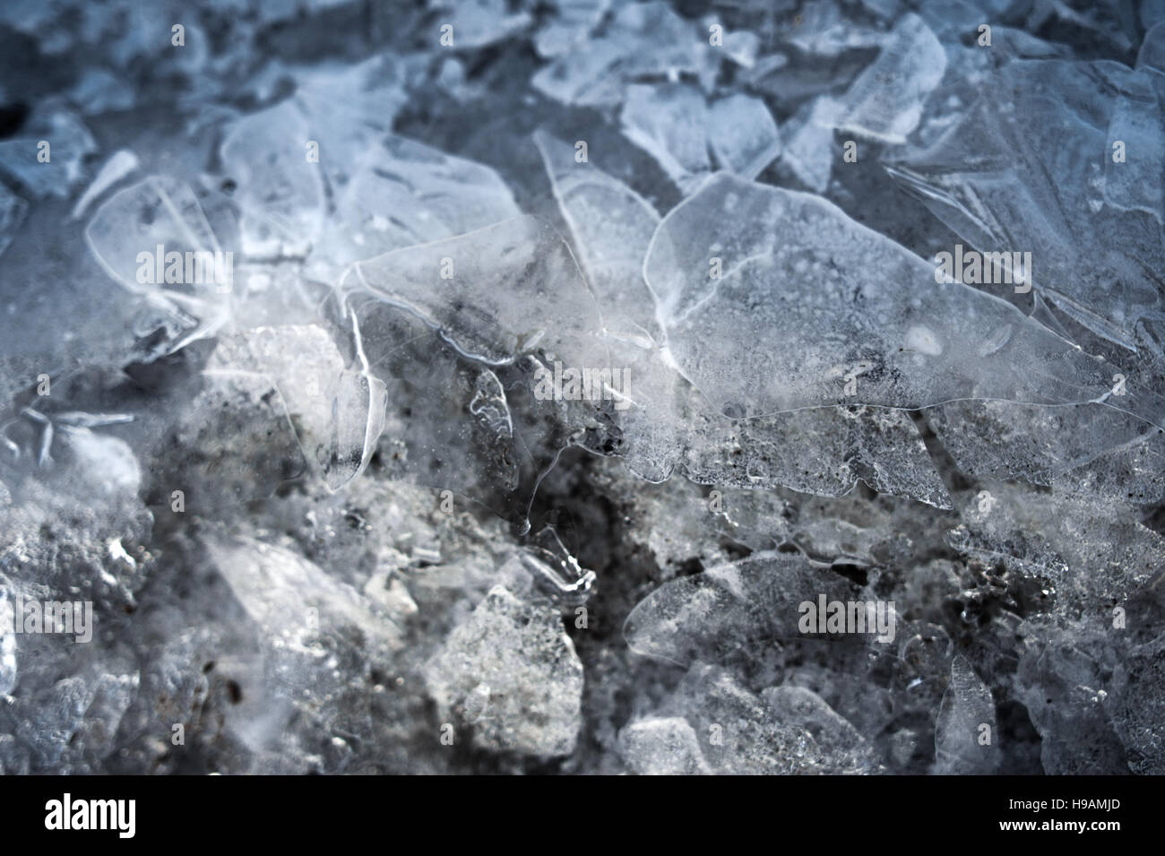 Spring background - meltinh and cracking ice Stock Photo - Alamy