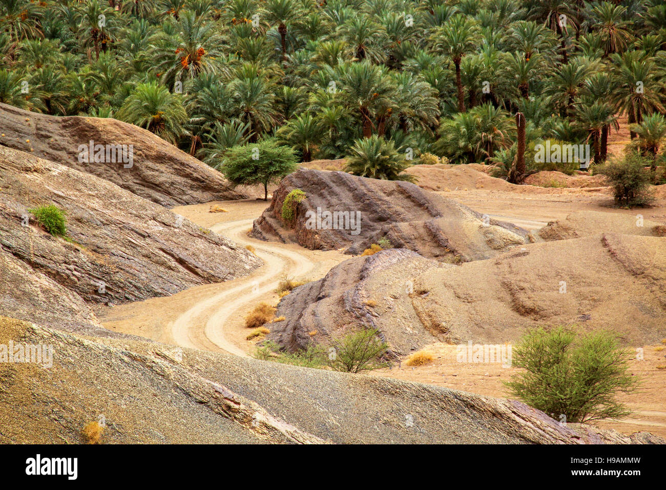 Corrugated gravel road through Draa valley, Morocco Stock Photo - Alamy