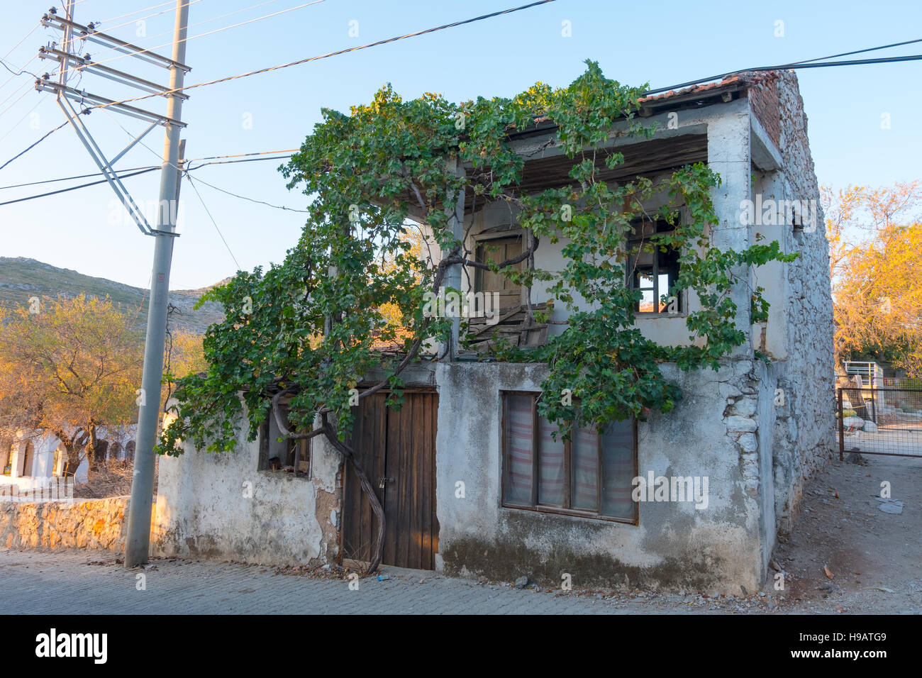 An old house with trees covering in Turkey Stock Photo - Alamy