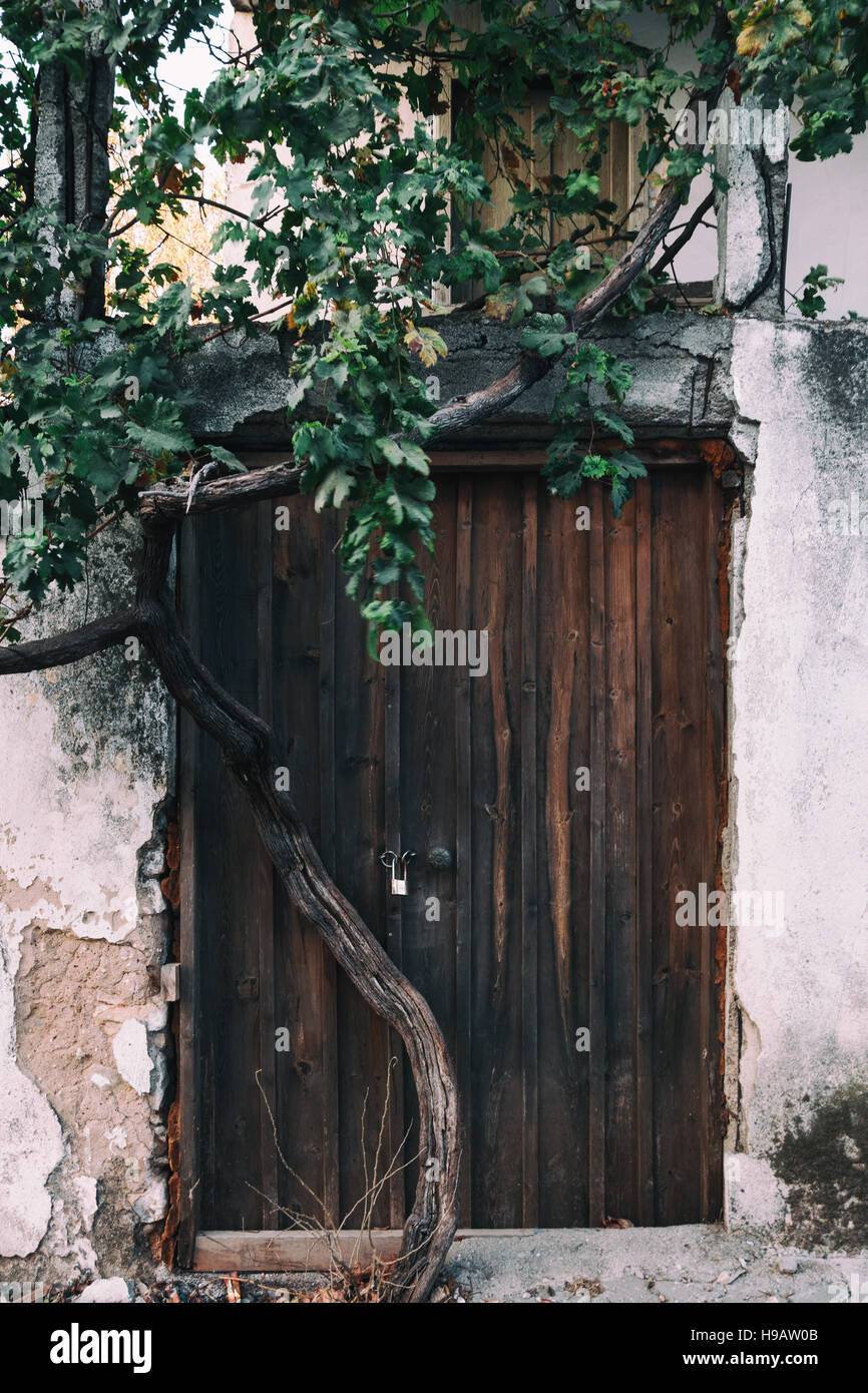 Trees covering old home hi-res stock photography and images - Alamy