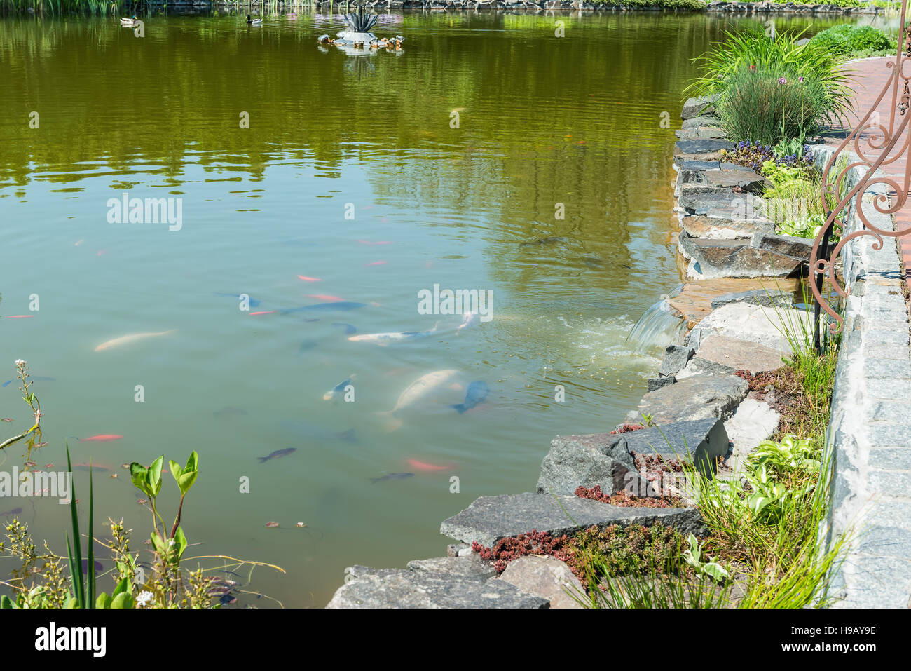 Fish lake park hi-res stock photography and images - Alamy