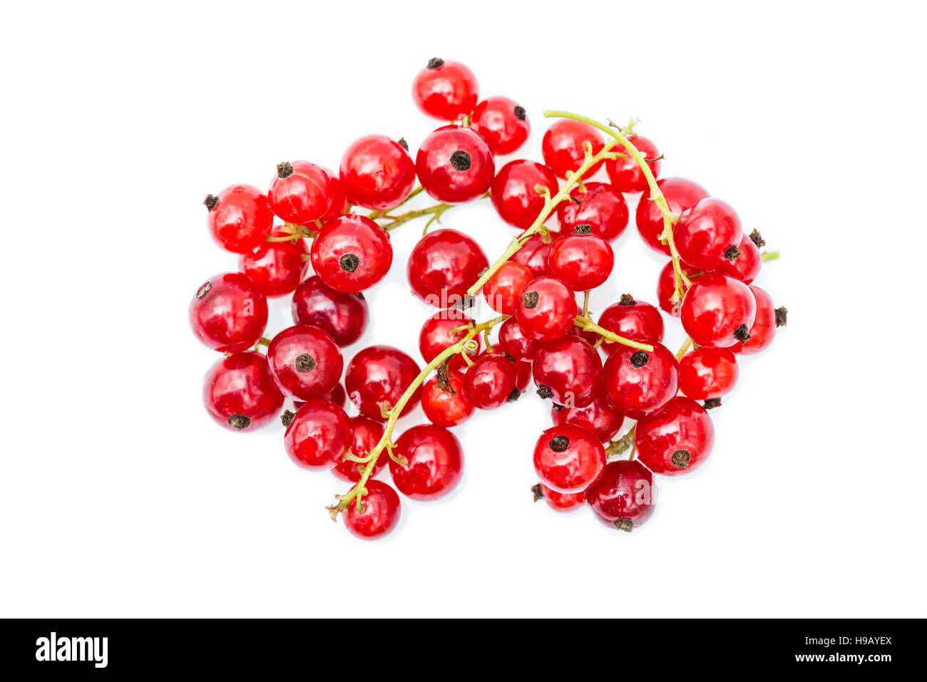 Red currant on a white background Stock Photo - Alamy