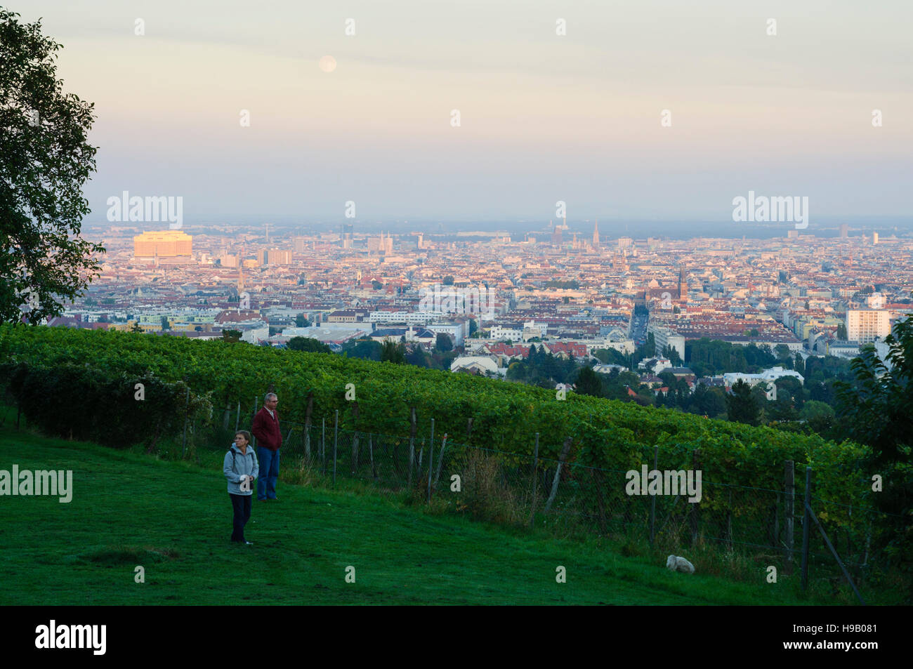 Wien, Vienna: View from Wilhelminenberg over vineyards to the town ...