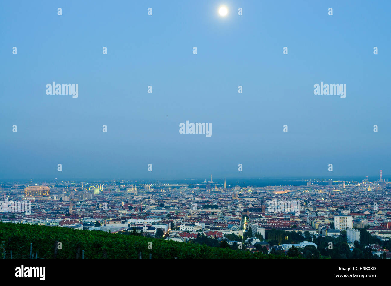 View over vienna hi-res stock photography and images - Alamy