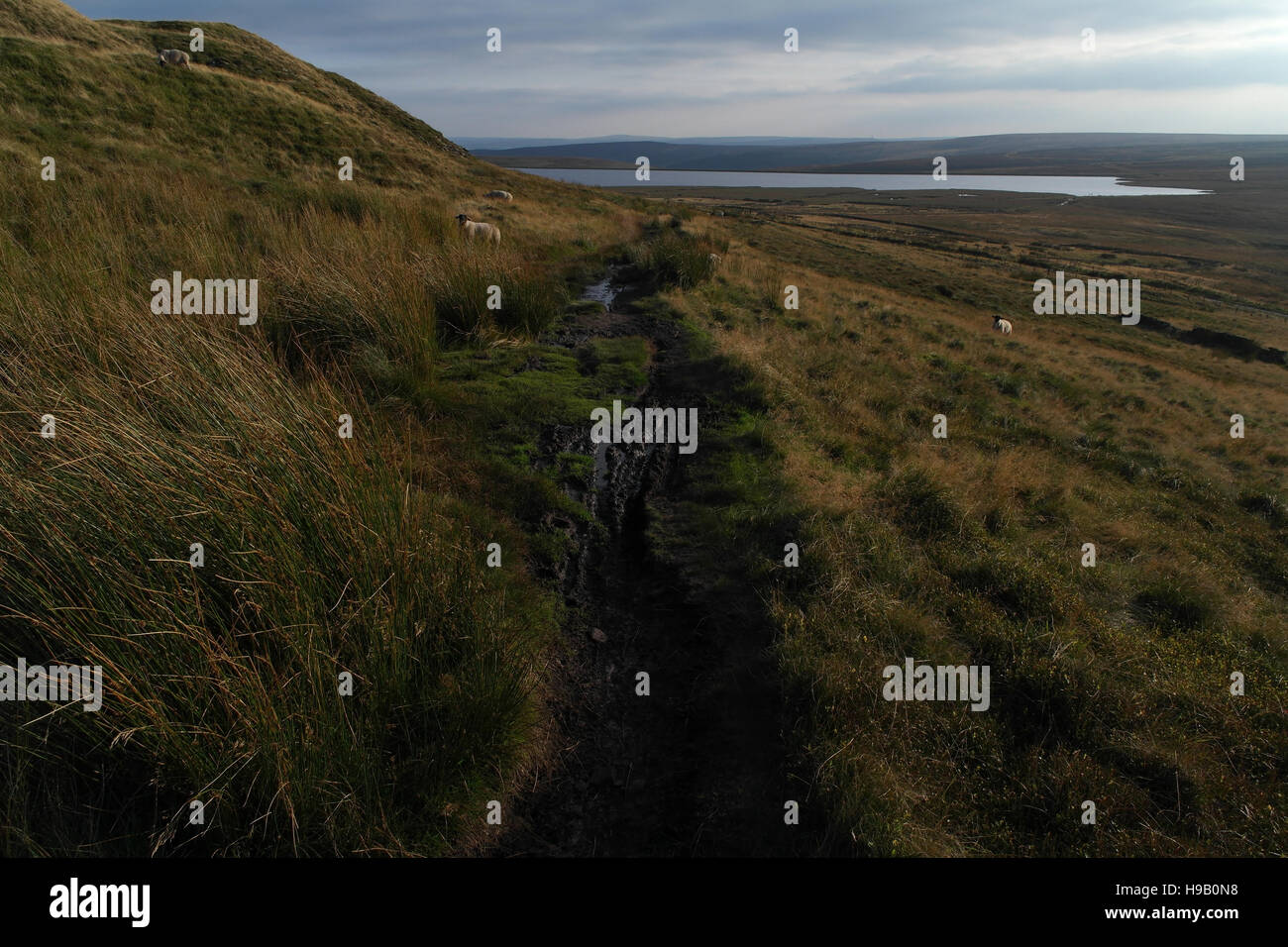 1 path centre foreground descending slope hi-res stock photography and ...