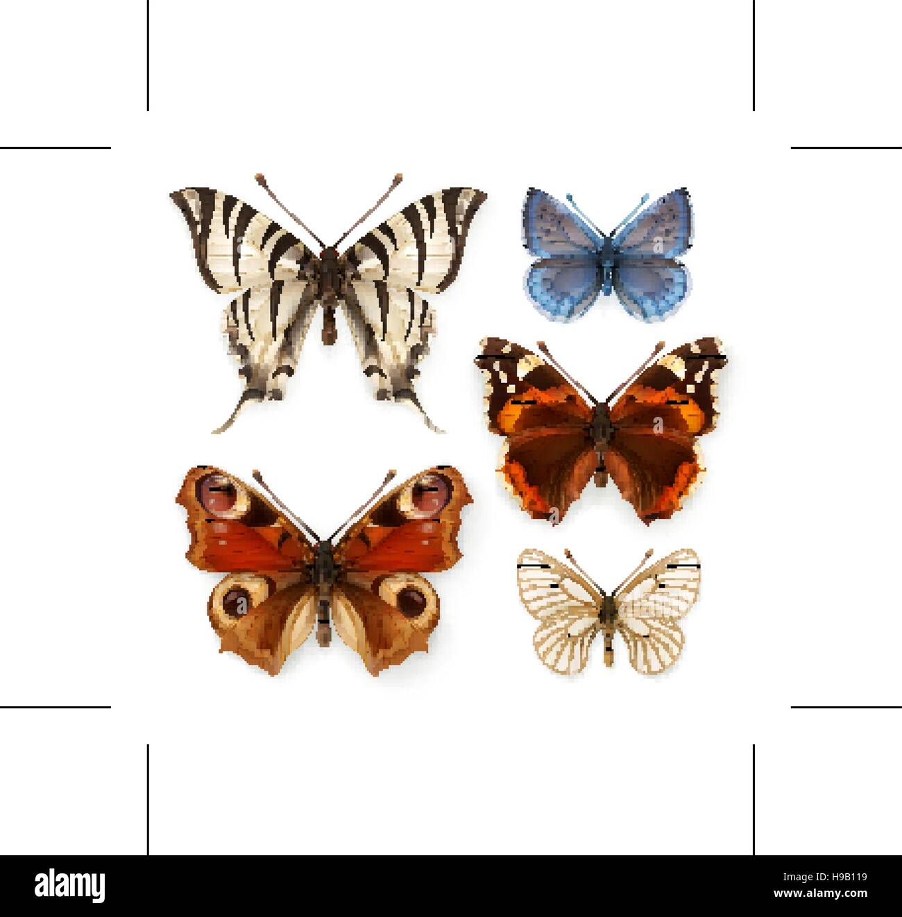 Butterflies, vector icons set Stock Vector Image & Art - Alamy