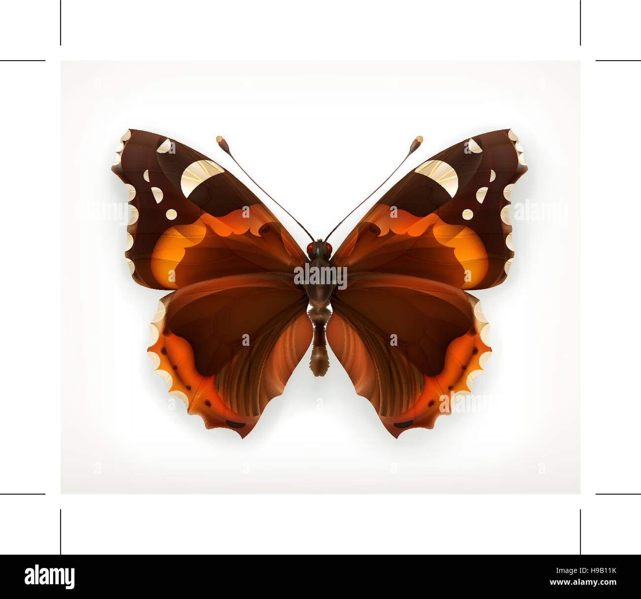 Butterfly, vector icon Stock Vector Image & Art - Alamy