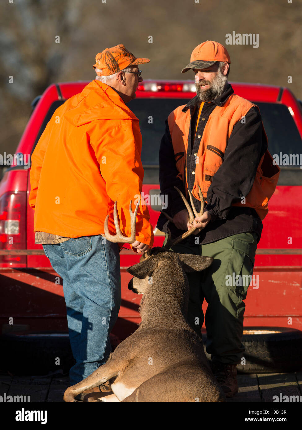 Tail dragging hi-res stock photography and images - Alamy