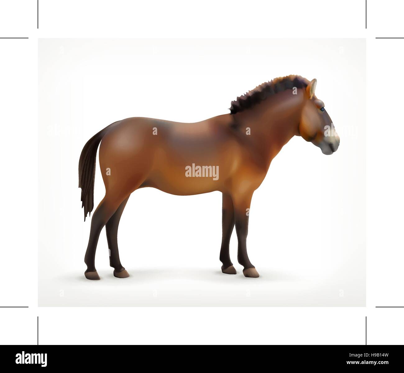 Horse, vector icon Stock Vector Image & Art - Alamy