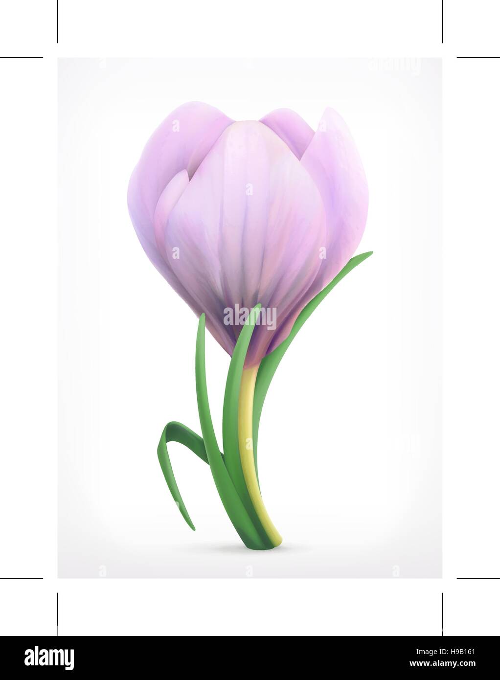 Blossom flower photo Stock Vector Images - Alamy