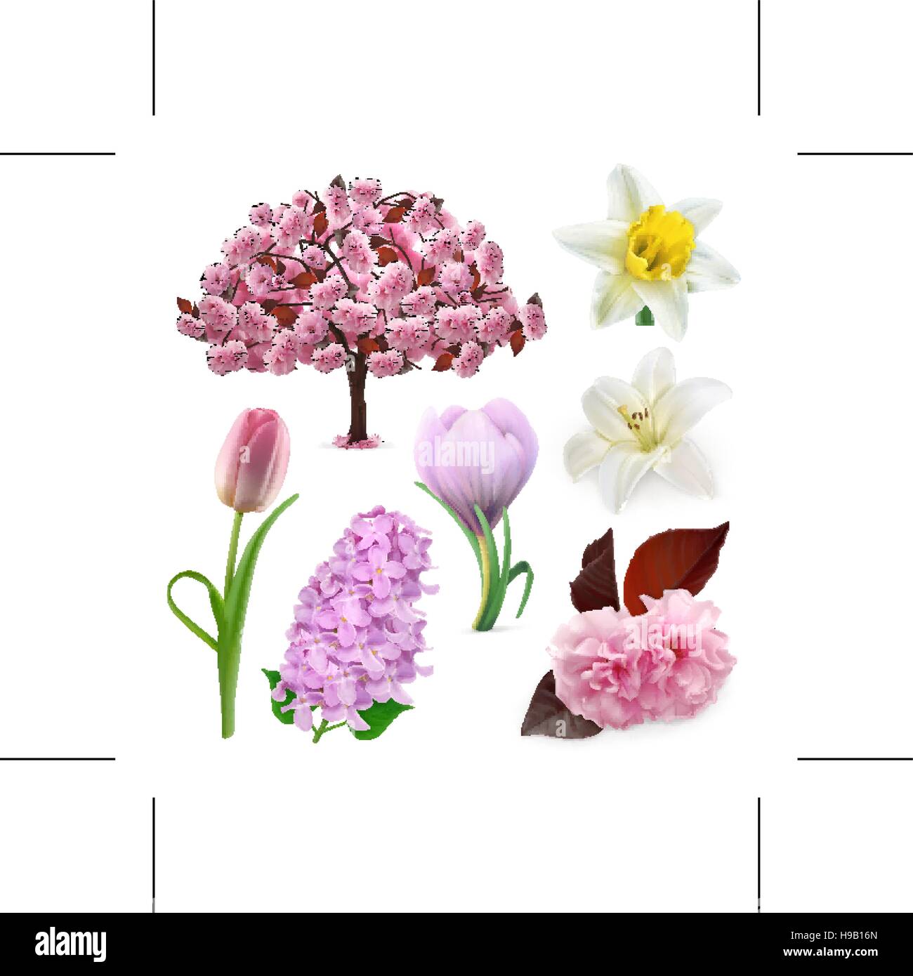 Springtime detail Stock Vector Images - Alamy
