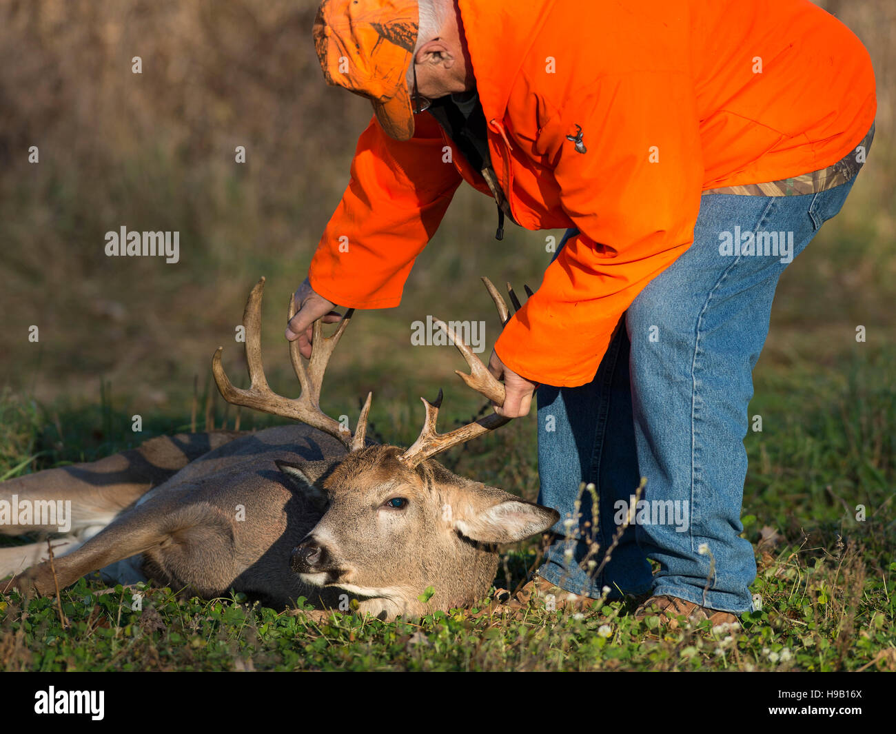 A deer hunter with a large Whitetail Buck Stock Photo - Alamy