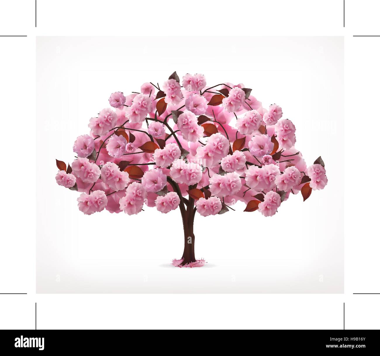 Fresh springtime sakura flower Stock Vector Images - Alamy