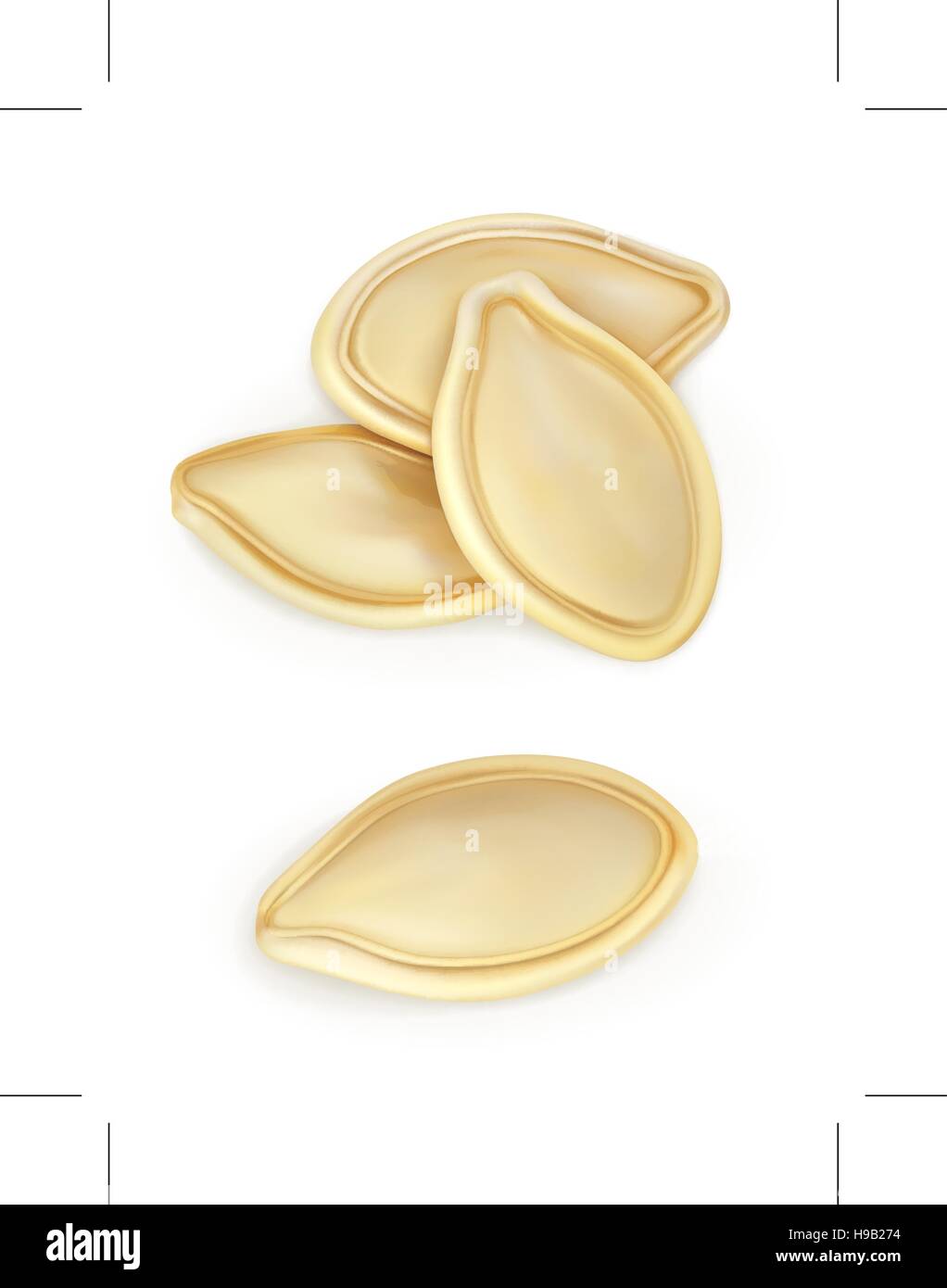 Pumpkin Seeds Clip Art