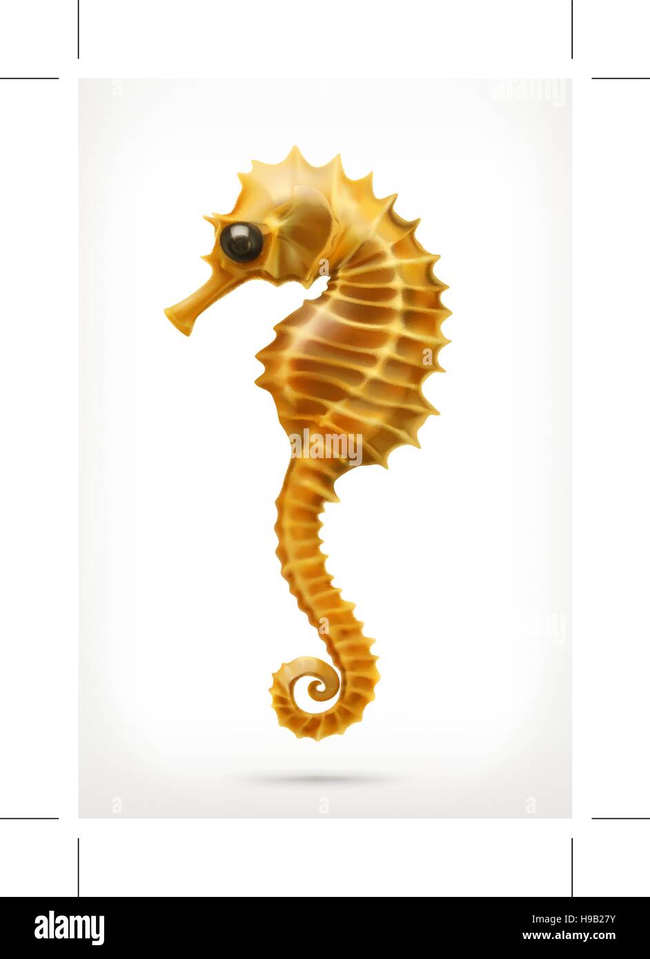 Seahorse, vector icon Stock Vector Image & Art - Alamy