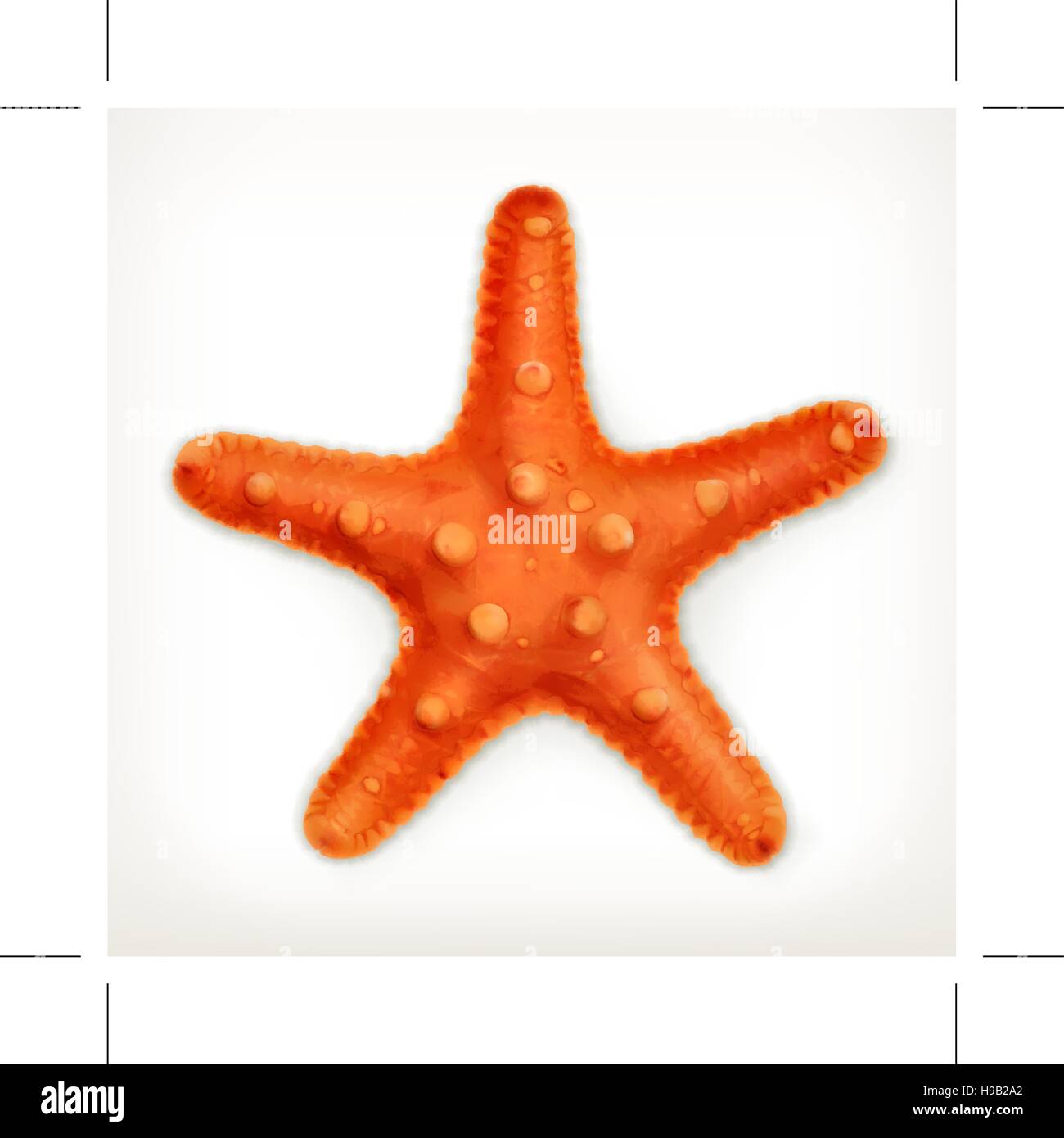 Starfish, vector icon Stock Vector Image & Art - Alamy