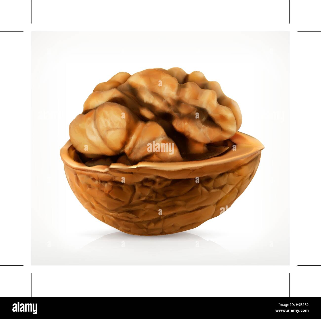 Walnut in shell isolated Stock Vector Images - Alamy