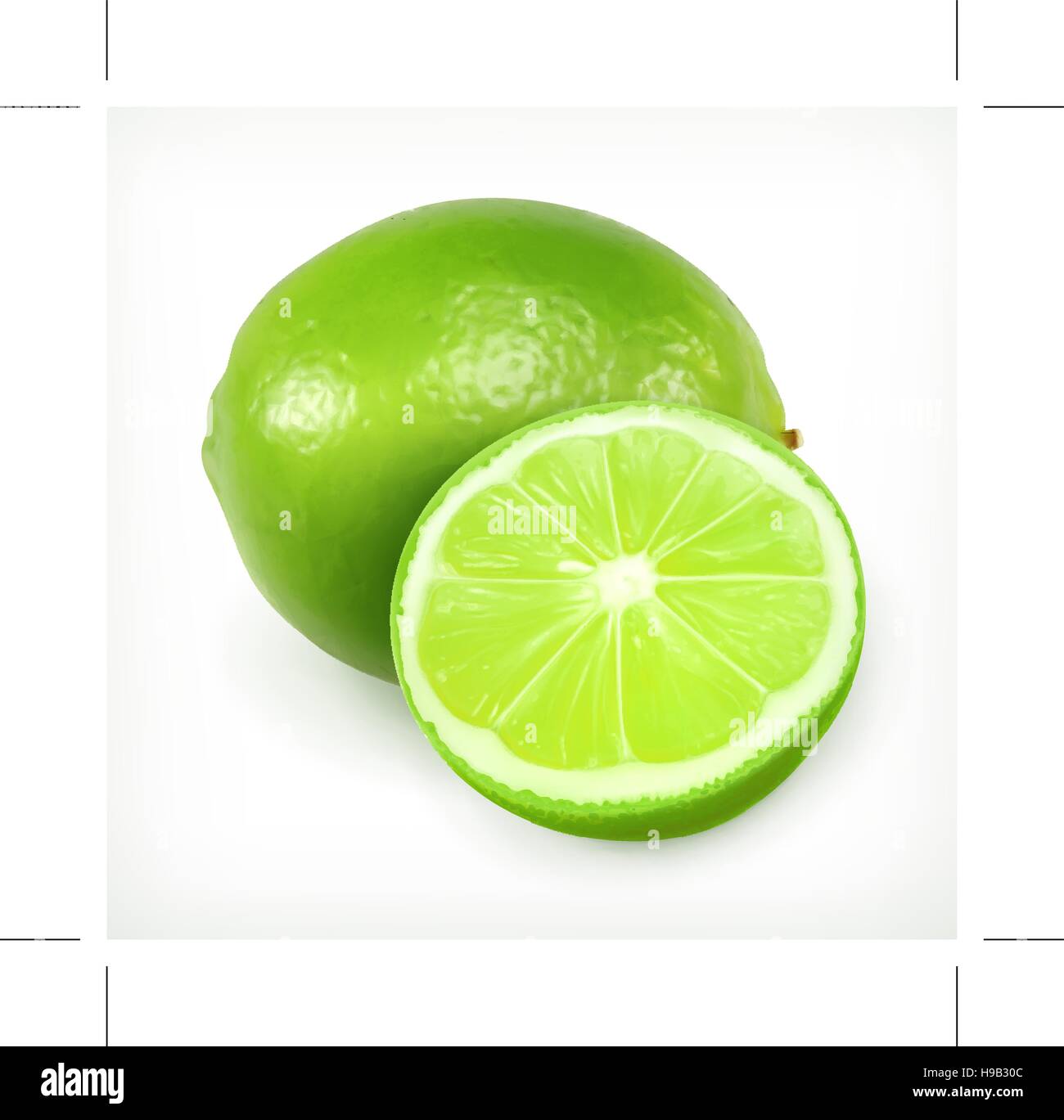 Lime whole fruit half Stock Vector Images - Alamy