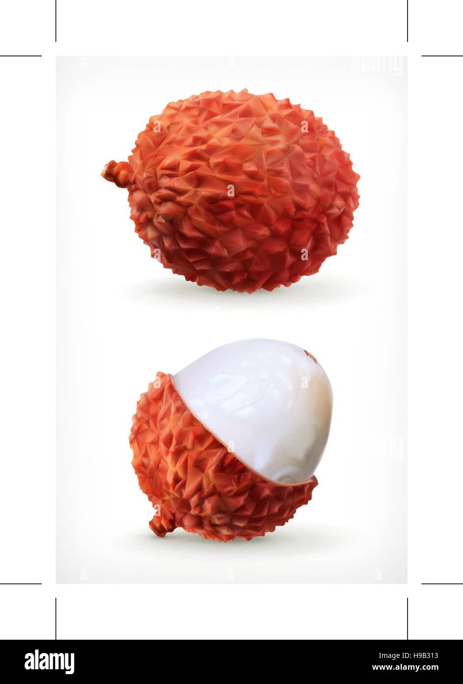 Lychee illustration Stock Vector Images - Alamy