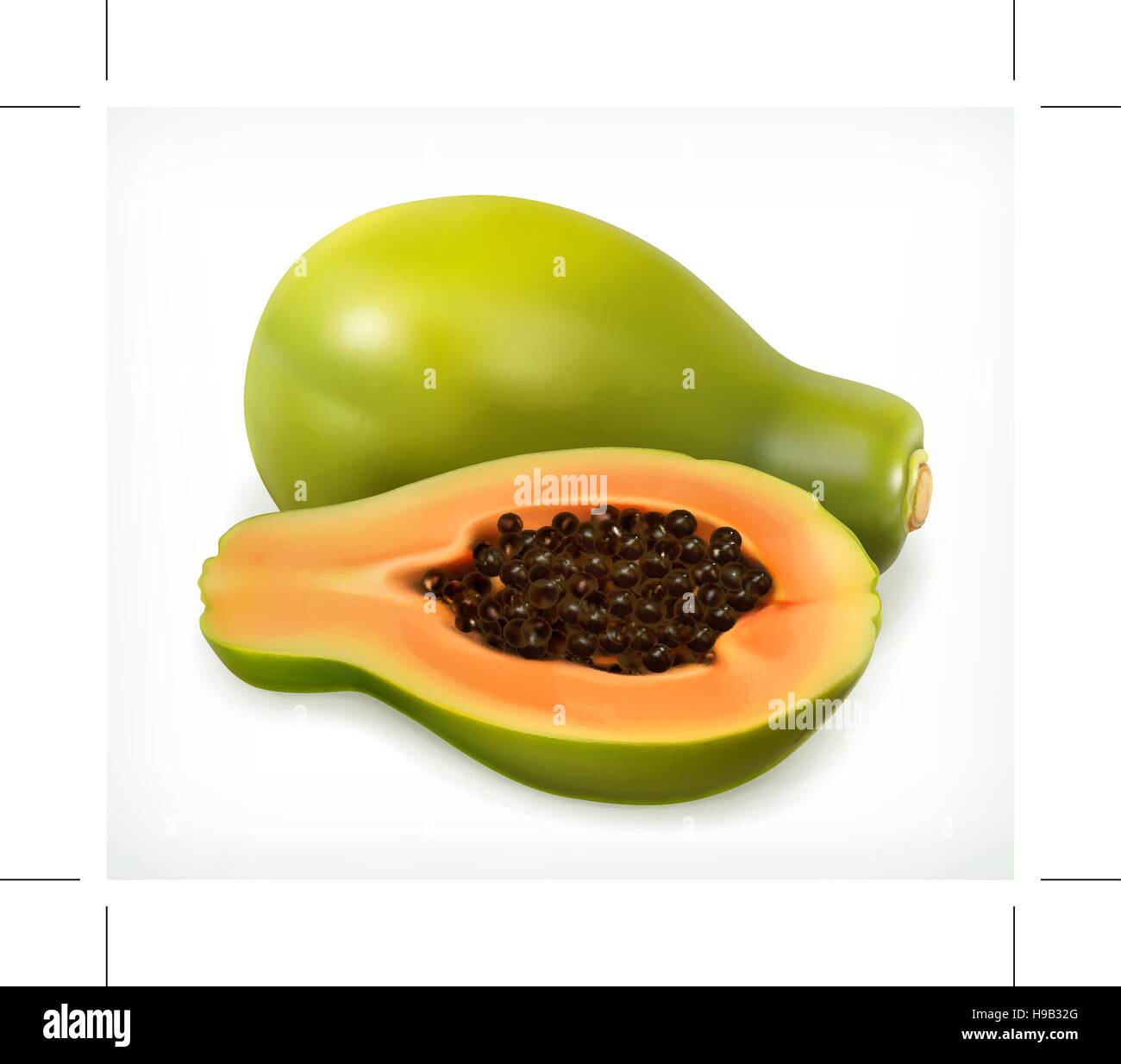 Papaya vector vectors hi-res stock photography and images - Alamy