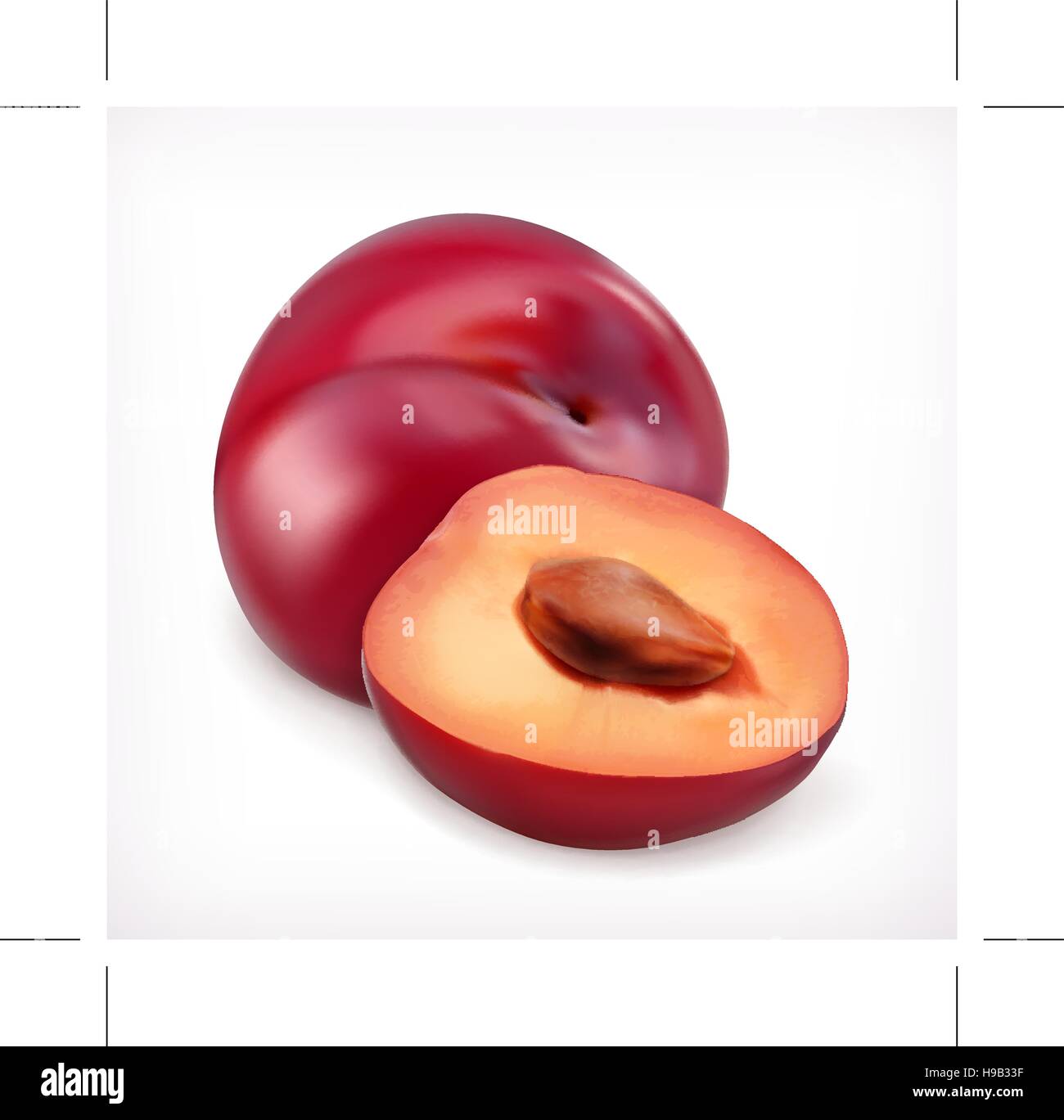 Plums vector icon. Plums vector object isolated on white background ...