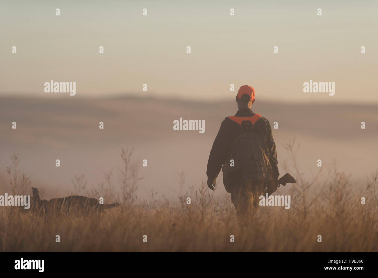 A bird hunter on a nice autumn day Stock Photo - Alamy