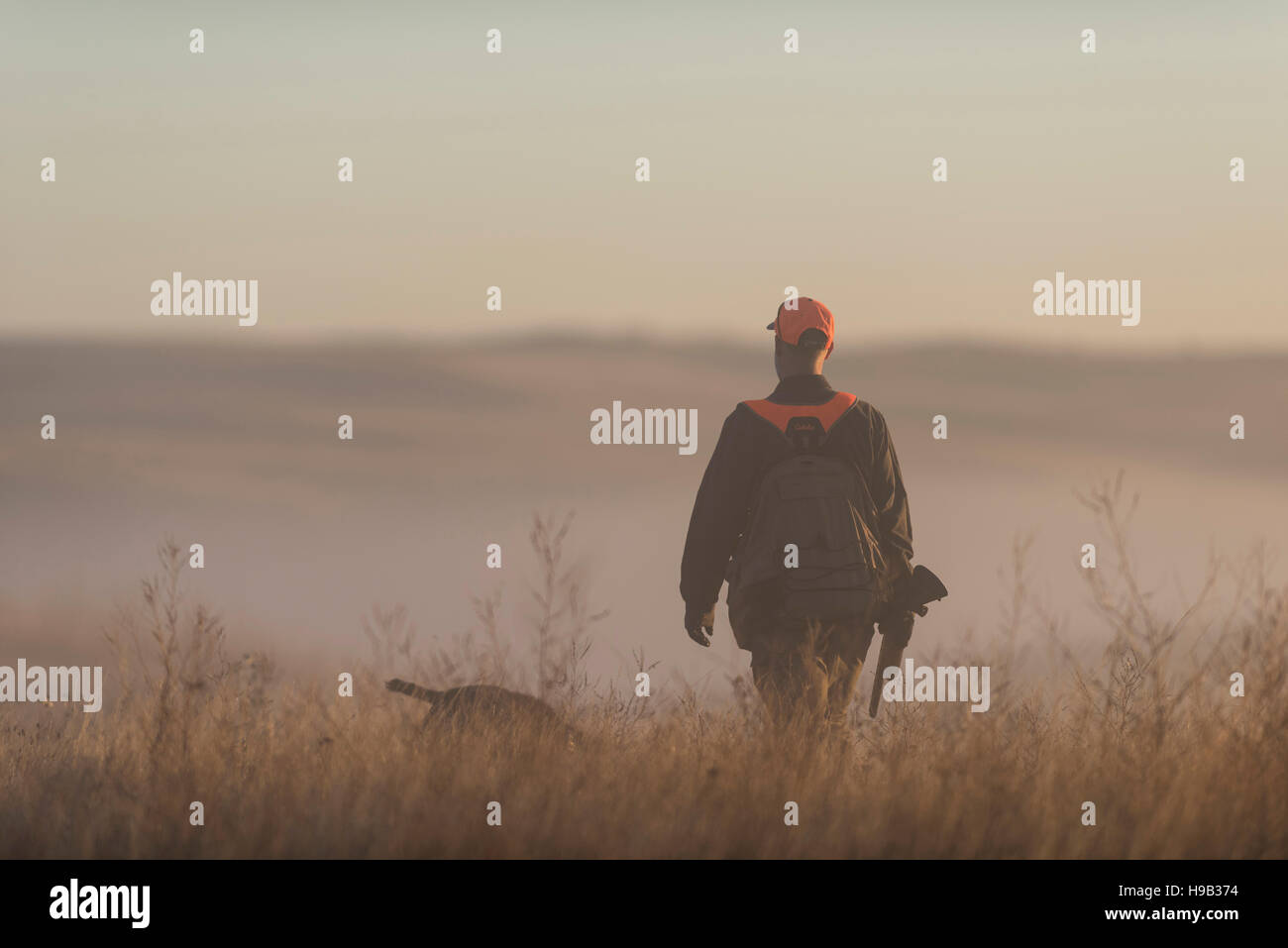 A bird hunter on a nice autumn day Stock Photo - Alamy