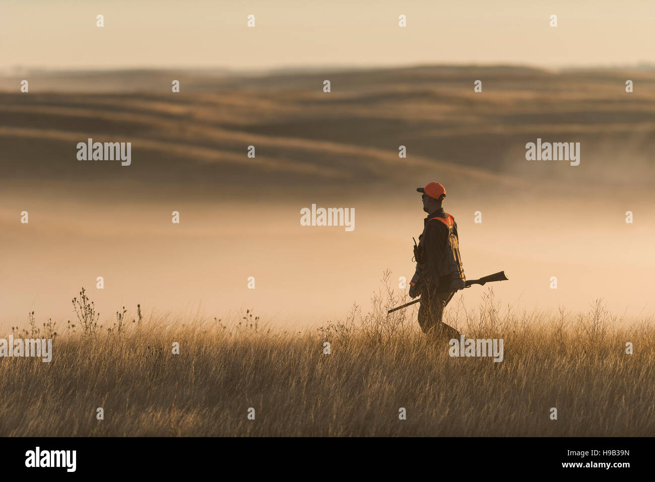 A pheasant hunter in North Dakota Stock Photo - Alamy