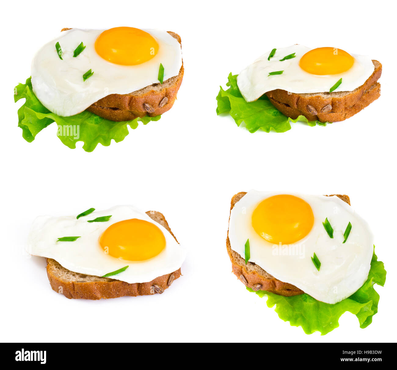 Egg Fried Bread with Lettuce, Sandwich for Breakfast Set Studio Photo Stock Photo - Alamy