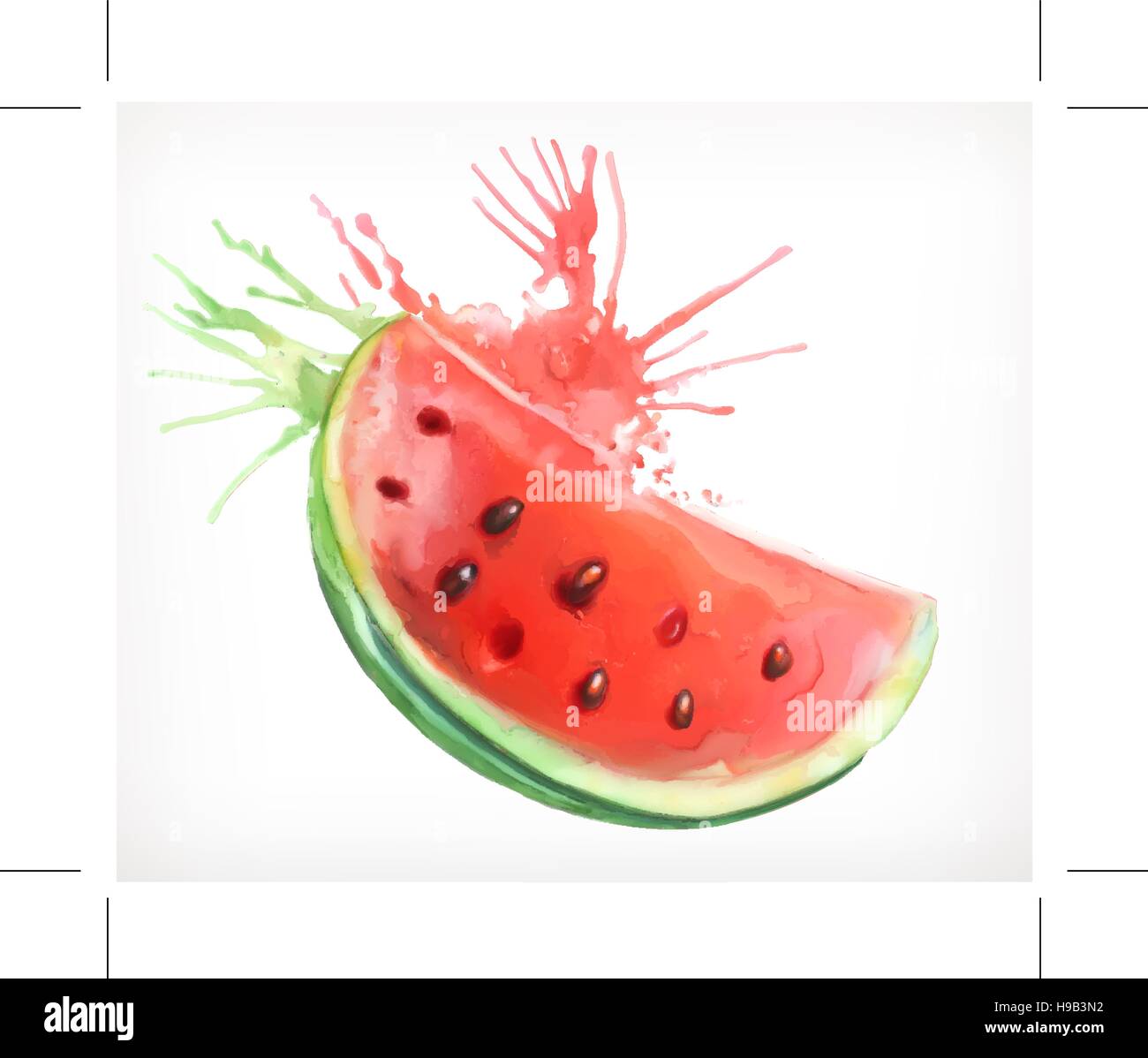 Watercolor watermelon painting Stock Vector Images - Alamy