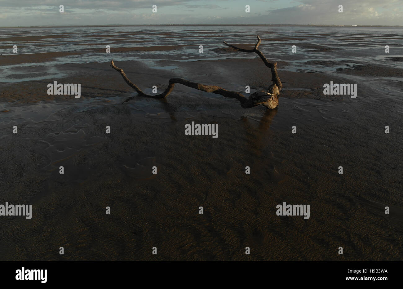 Summer sunset view, looking south across River Ribble Estuary, of ...