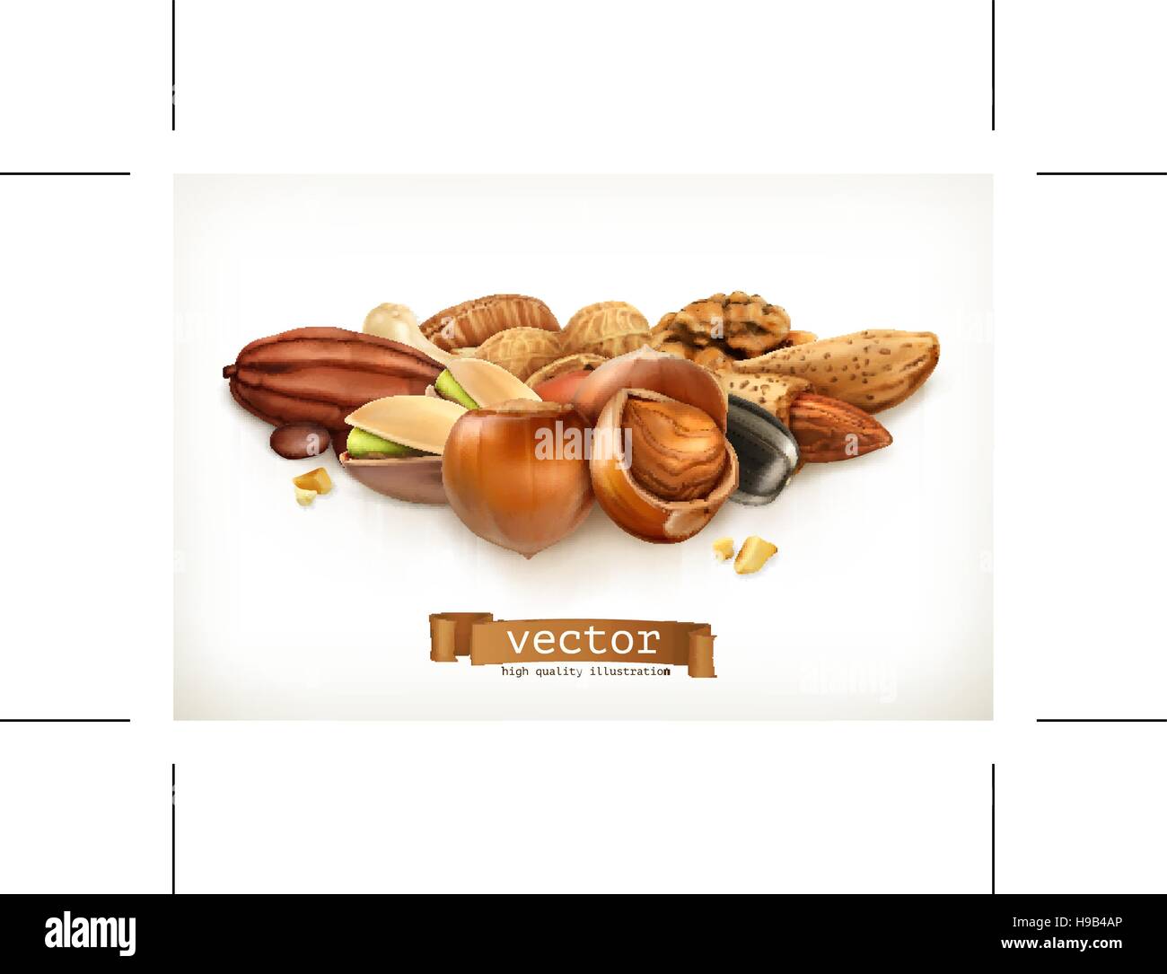 Nuts, vector illustration isolated on white Stock Vector Image & Art ...