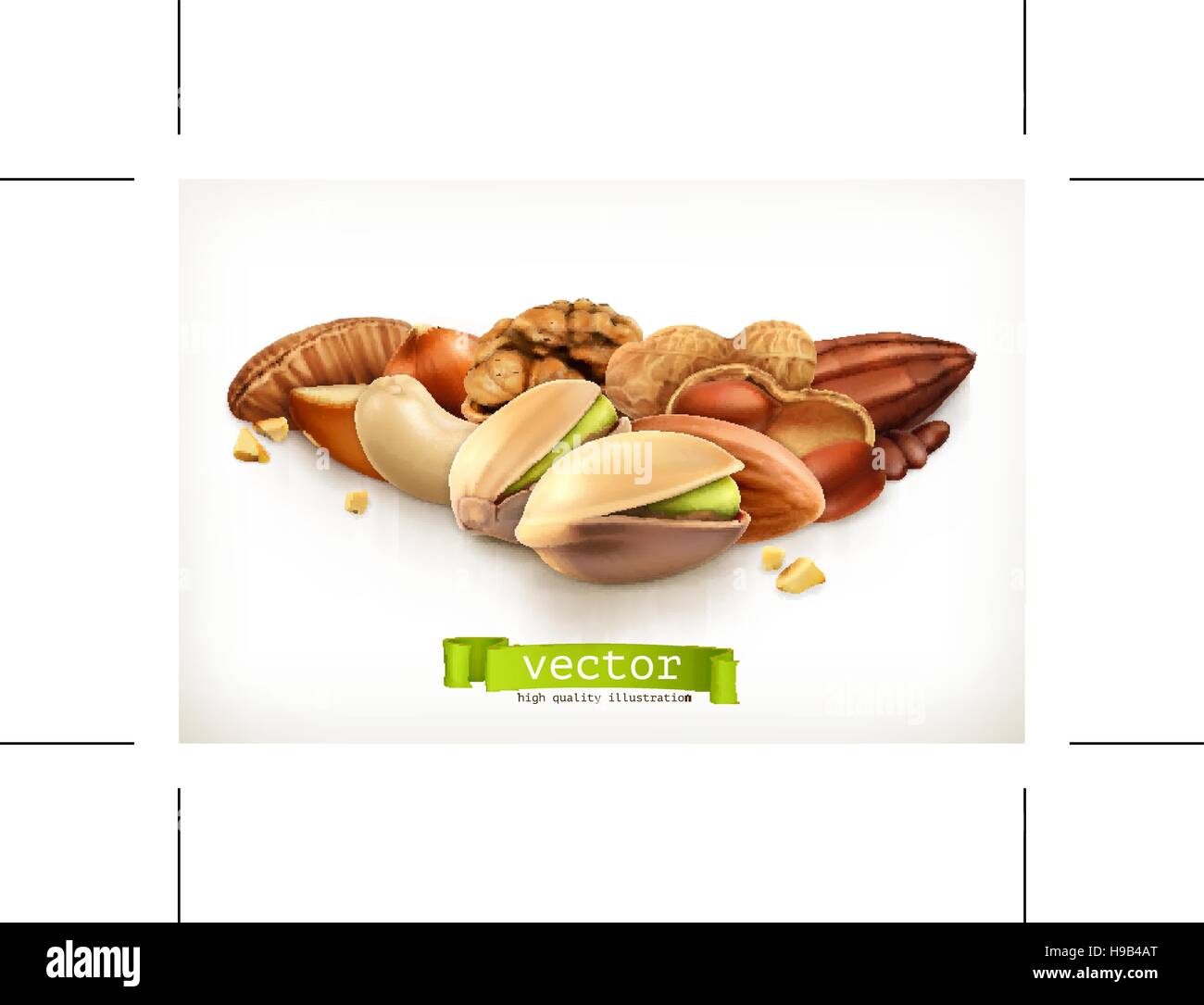 Nuts, vector illustration isolated on white Stock Vector Image & Art ...