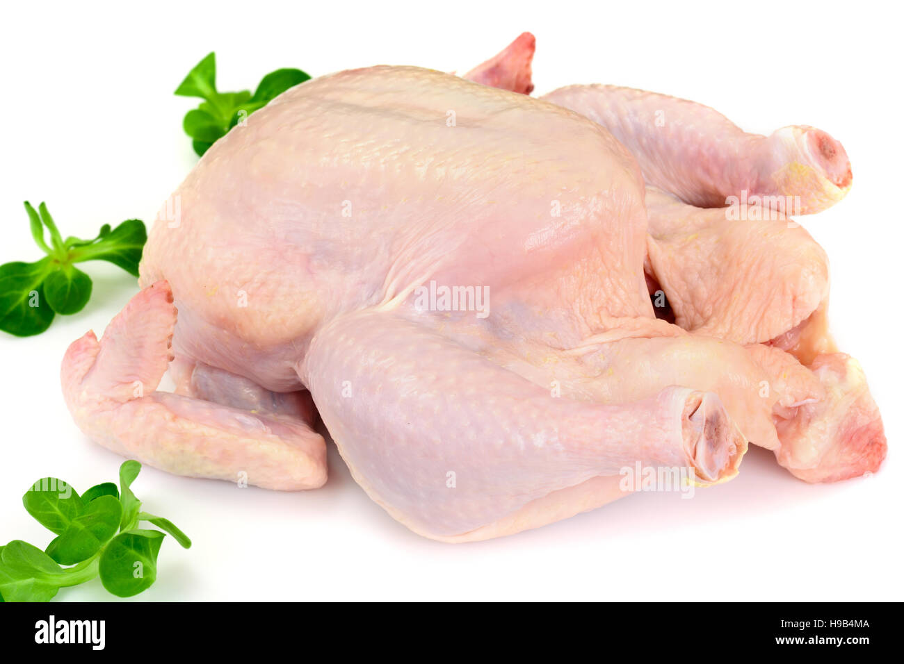 The Split Carcass of Raw Chicken. Isolated on White. Studio Photo Stock ...