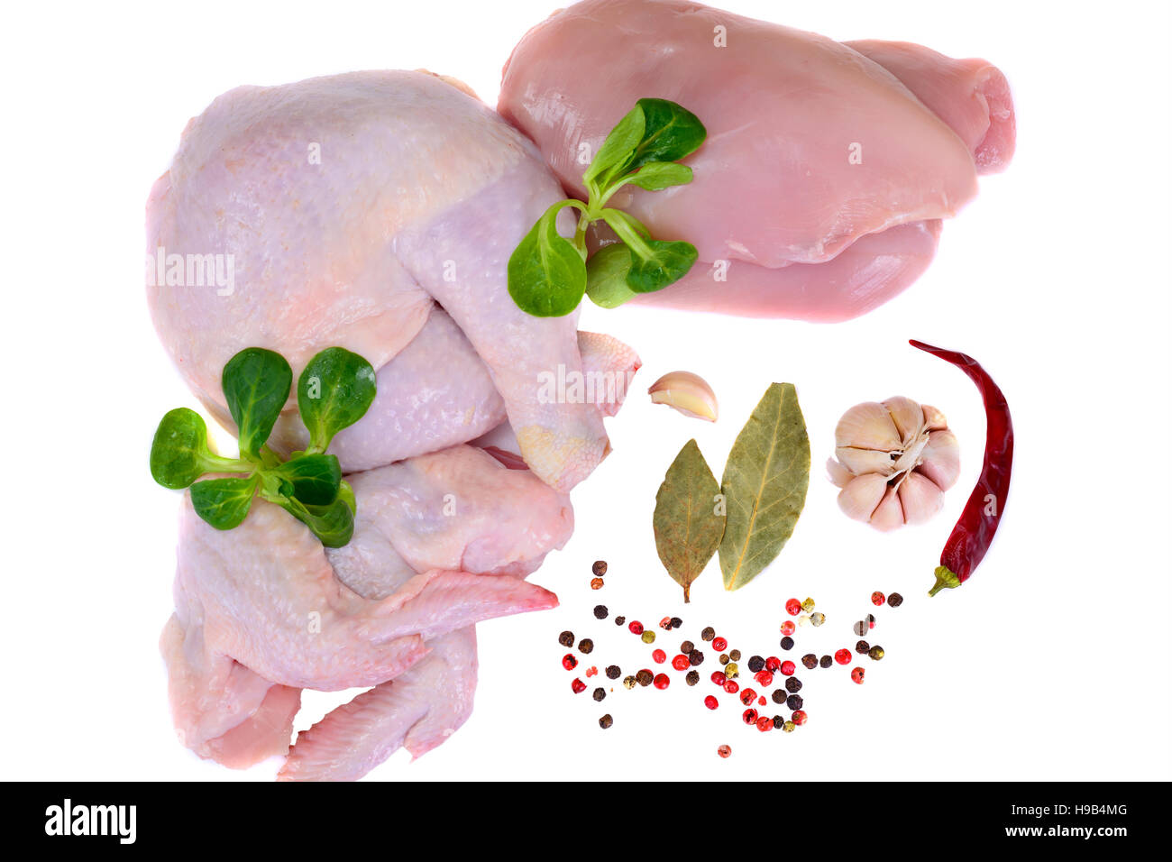 The Split Carcass of Raw Chicken. Isolated on White. Studio Photo Stock ...