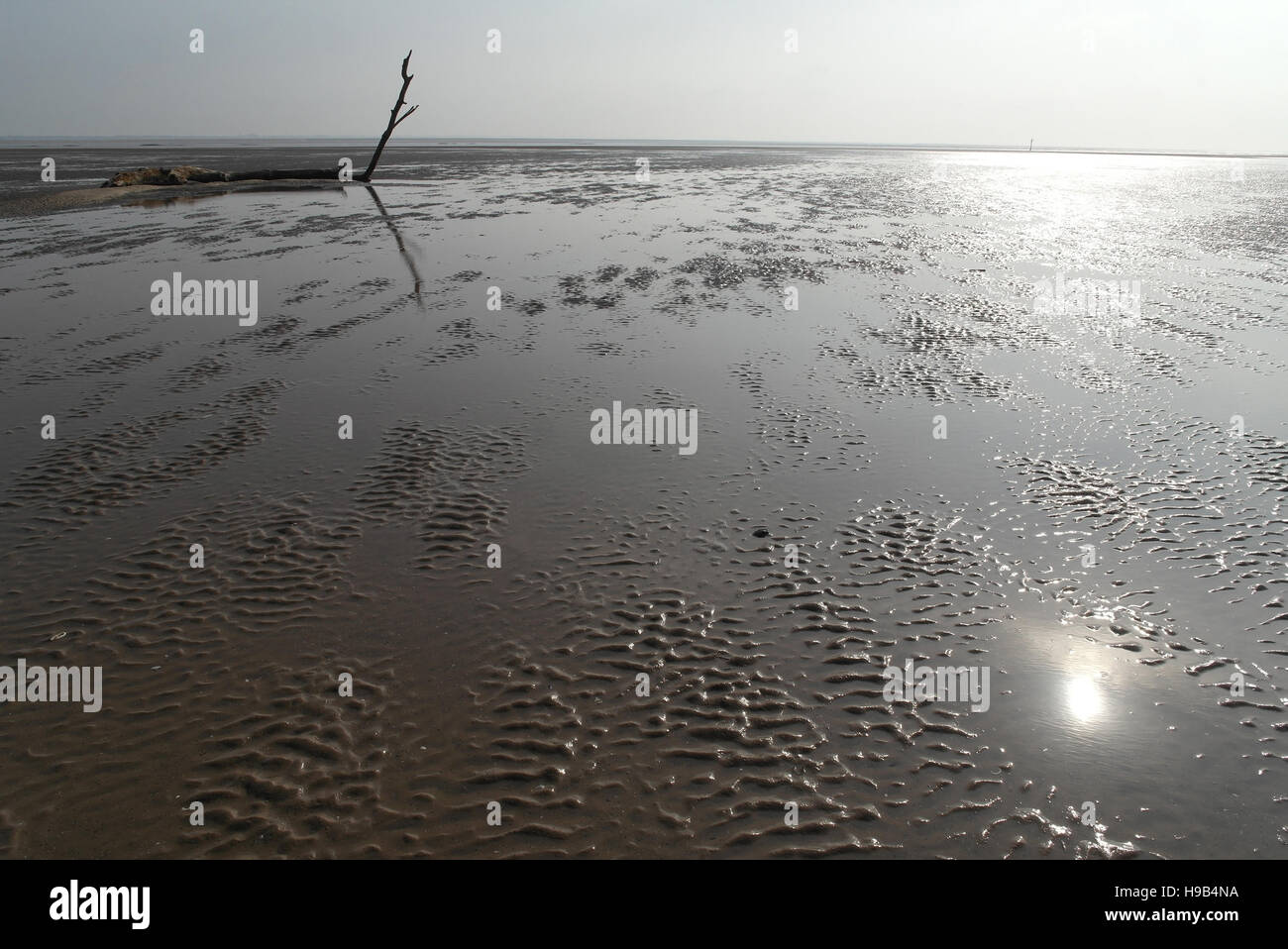 Beach 1 expanse wet sand foreground extending right background hi-res ...