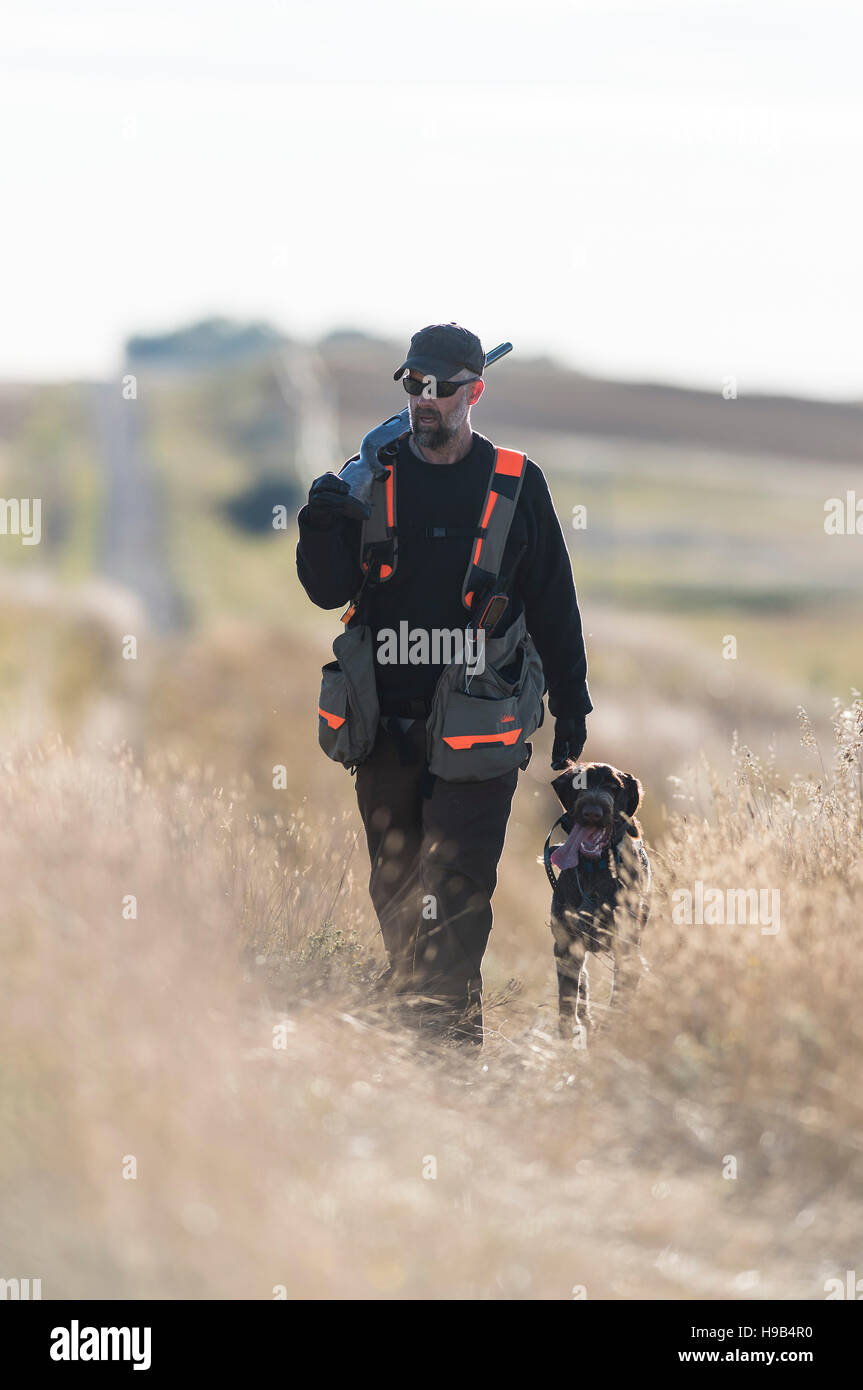 A bird hunter on a nice autumn day Stock Photo - Alamy