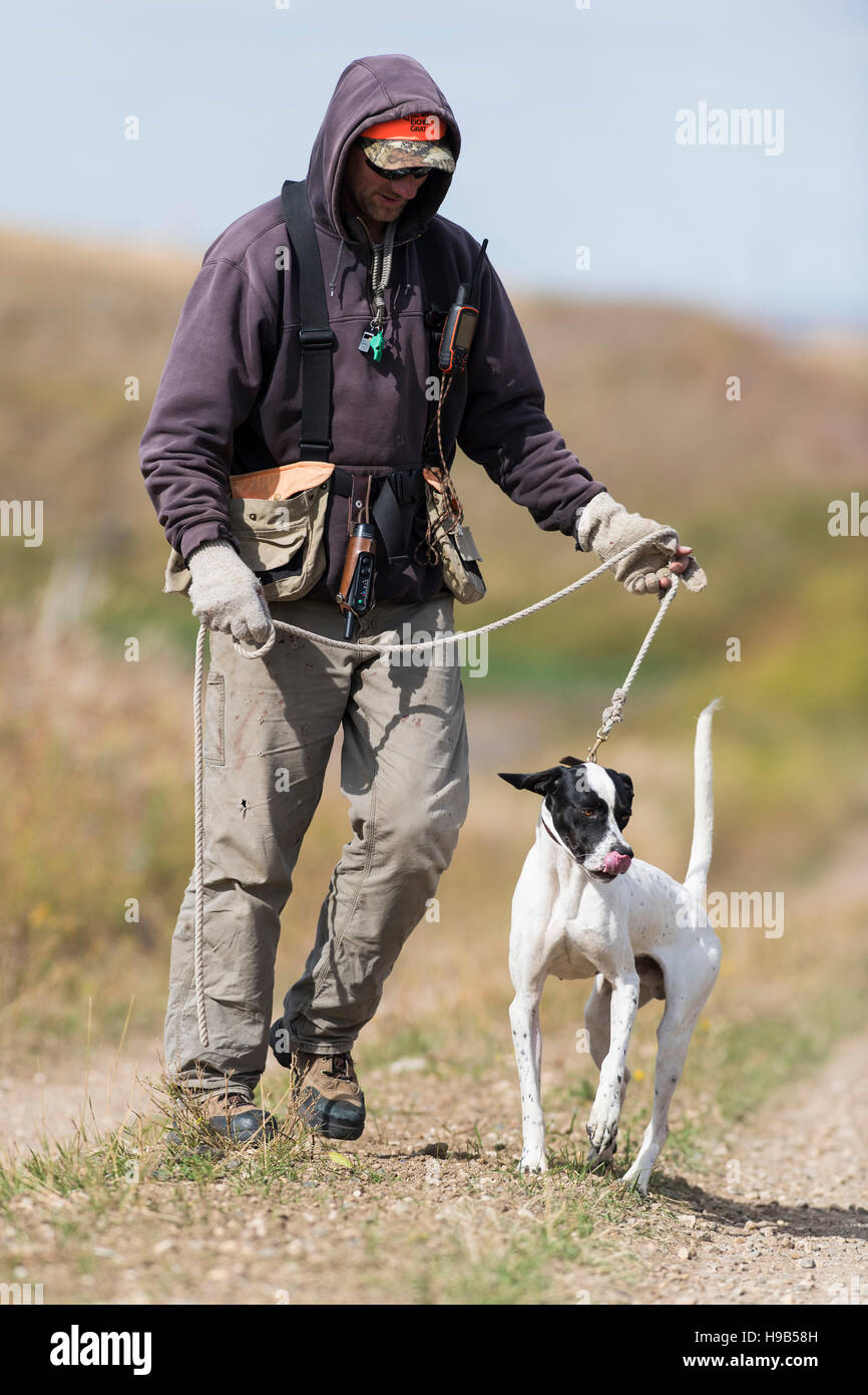 Prairie pointer hi-res stock photography and images - Alamy