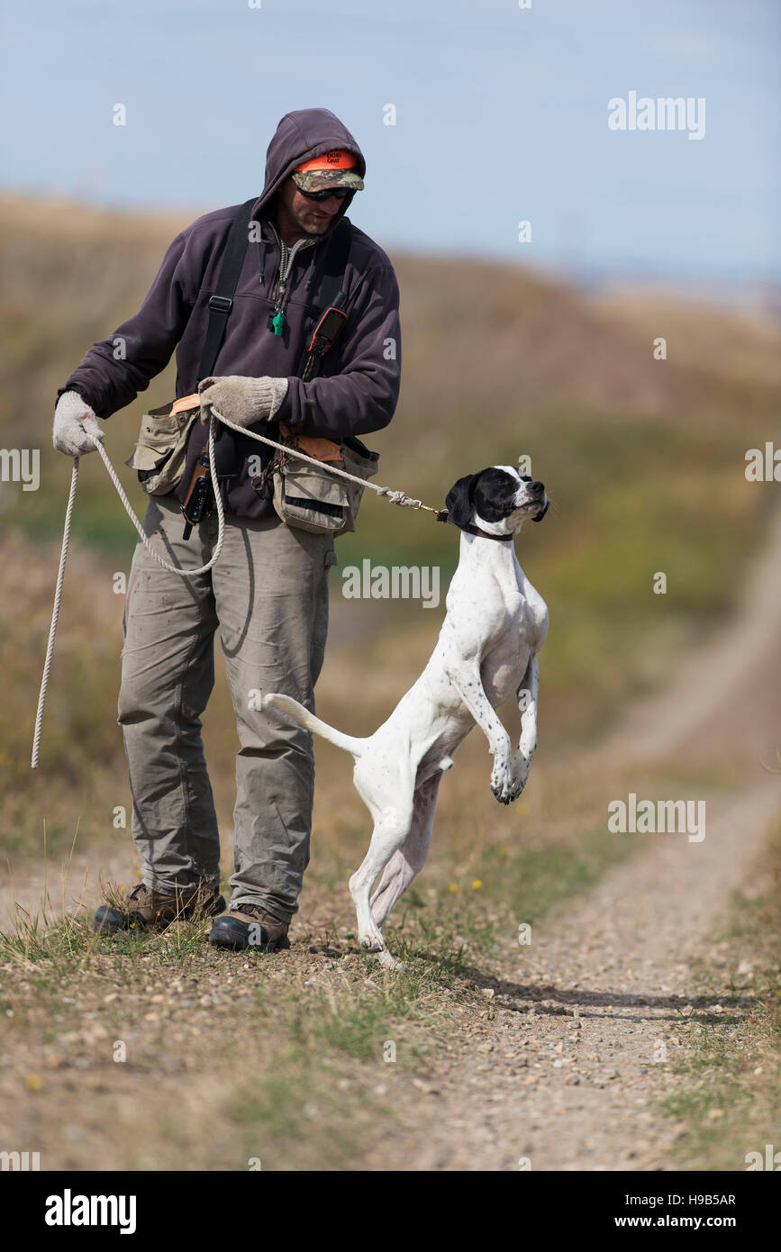 A hunter with an English Pointer Stock Photo - Alamy