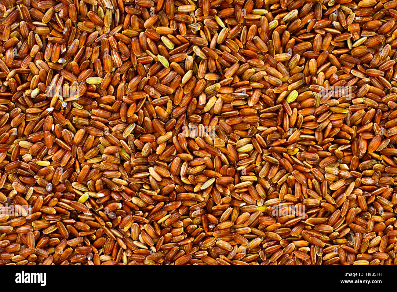 Background Red Rice Whole Grains Studio Photo Stock Photo - Alamy